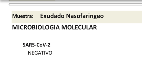 Tengo coronavirus y así es mi vida en cuarentena | Las Provincias